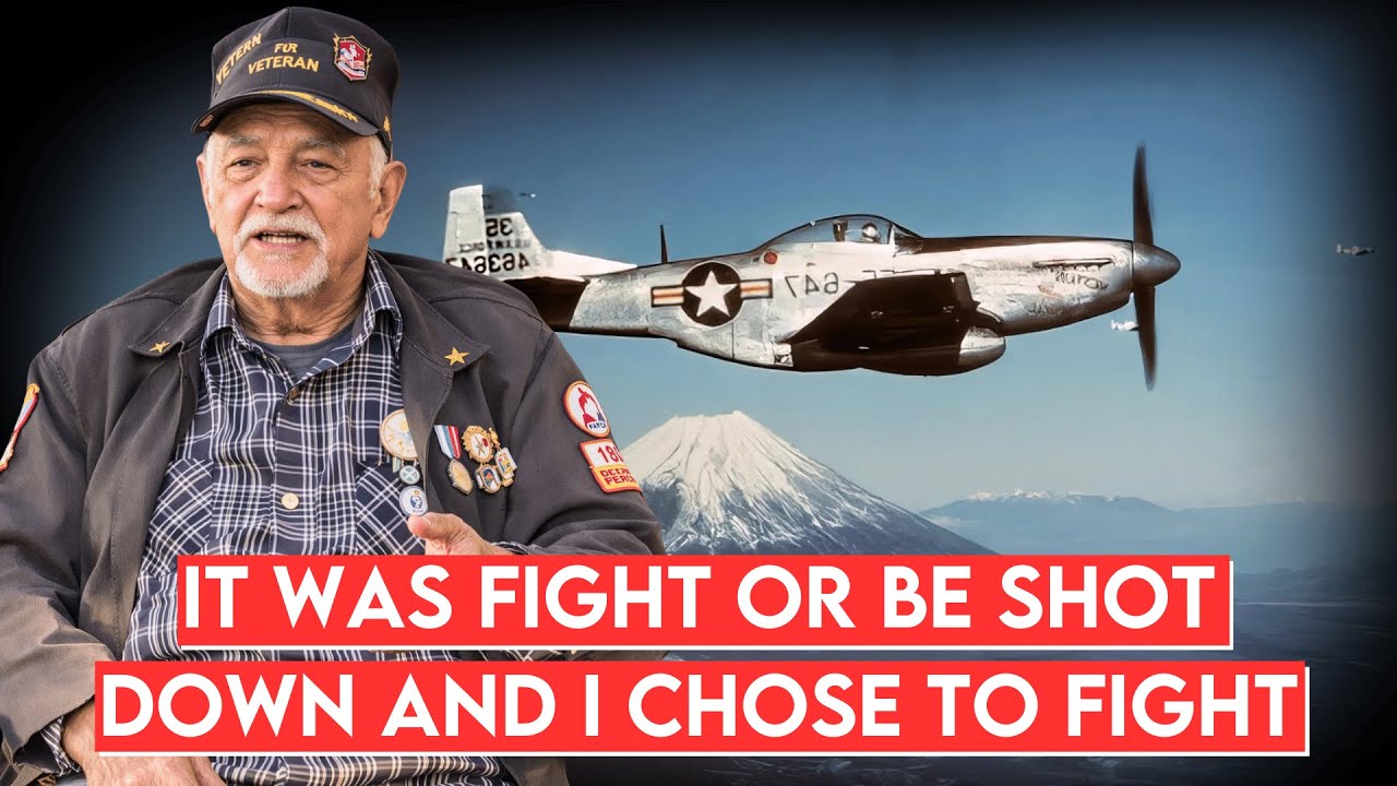 IN THE SKIES OF EUROPE: MUSTANG PILOT IN COMBAT | CAPTAIN | THOMAS TOM ...