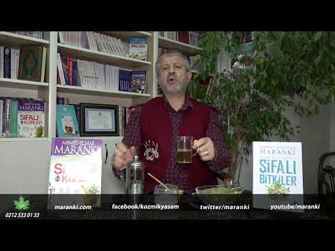 MORİNGA  BİTKİSİ!