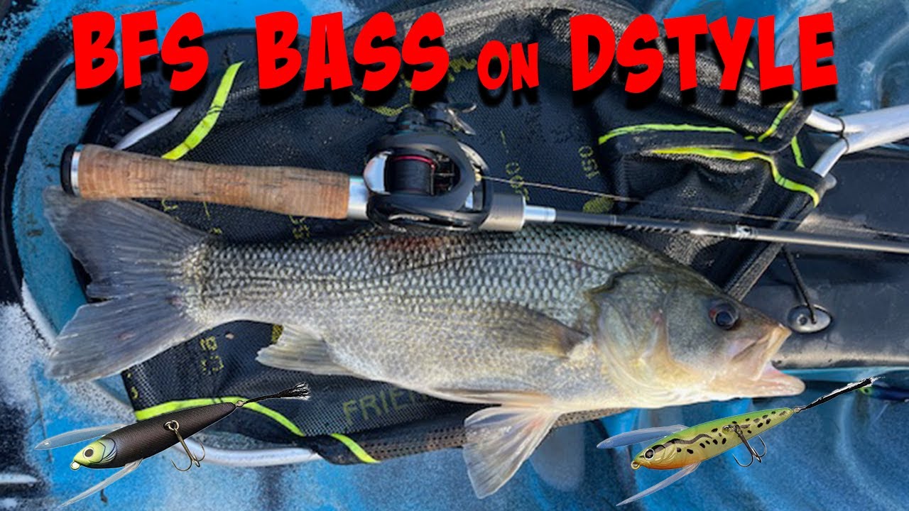 AUSSIE BASS Love This TOPWATER LURE - YouTube