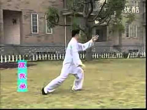 Yang style 40 form Tai Chi Competition routine - YouTube