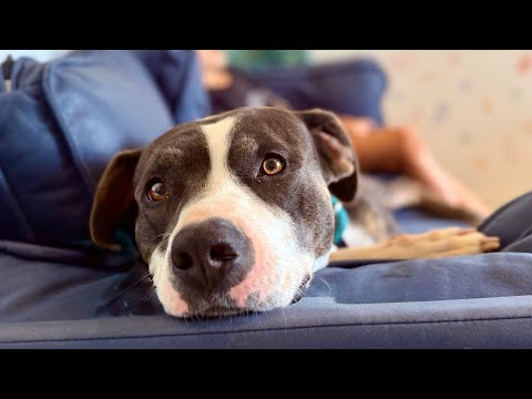 Natasha Belle is perfect with kids and perfect for you!