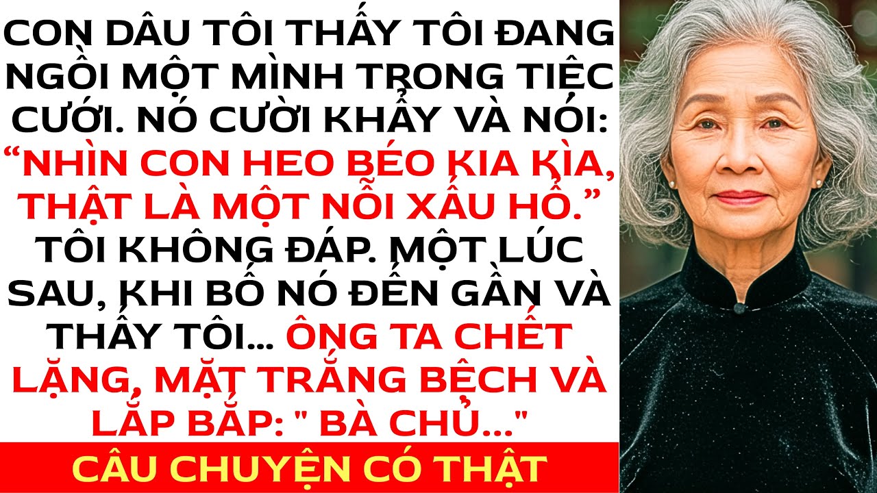 Con dâu tôi gọi tôi là “con heo béo” trong đám cưới của nó. Rồi cha cô ...