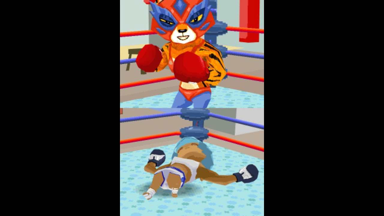 Animal Boxing vs Torami Request - YouTube