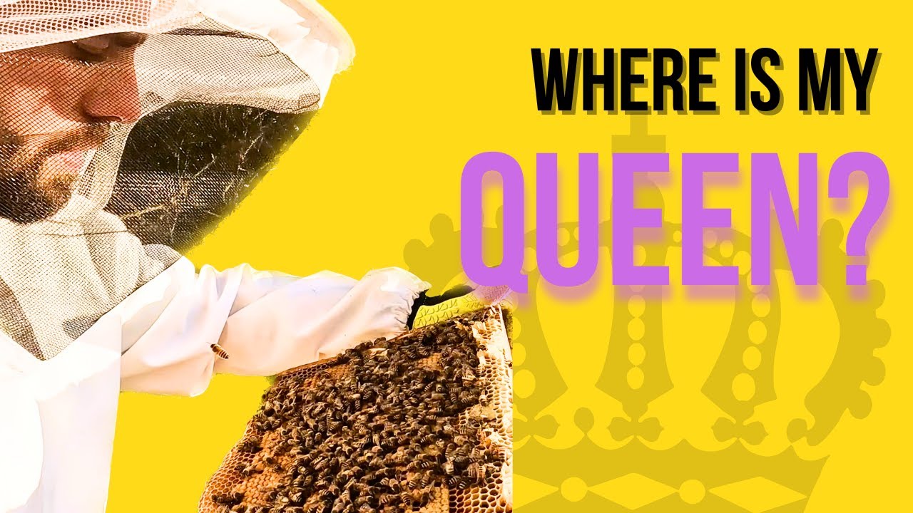 Beehive Inspection...Do You Ever Have This Problem? - YouTube