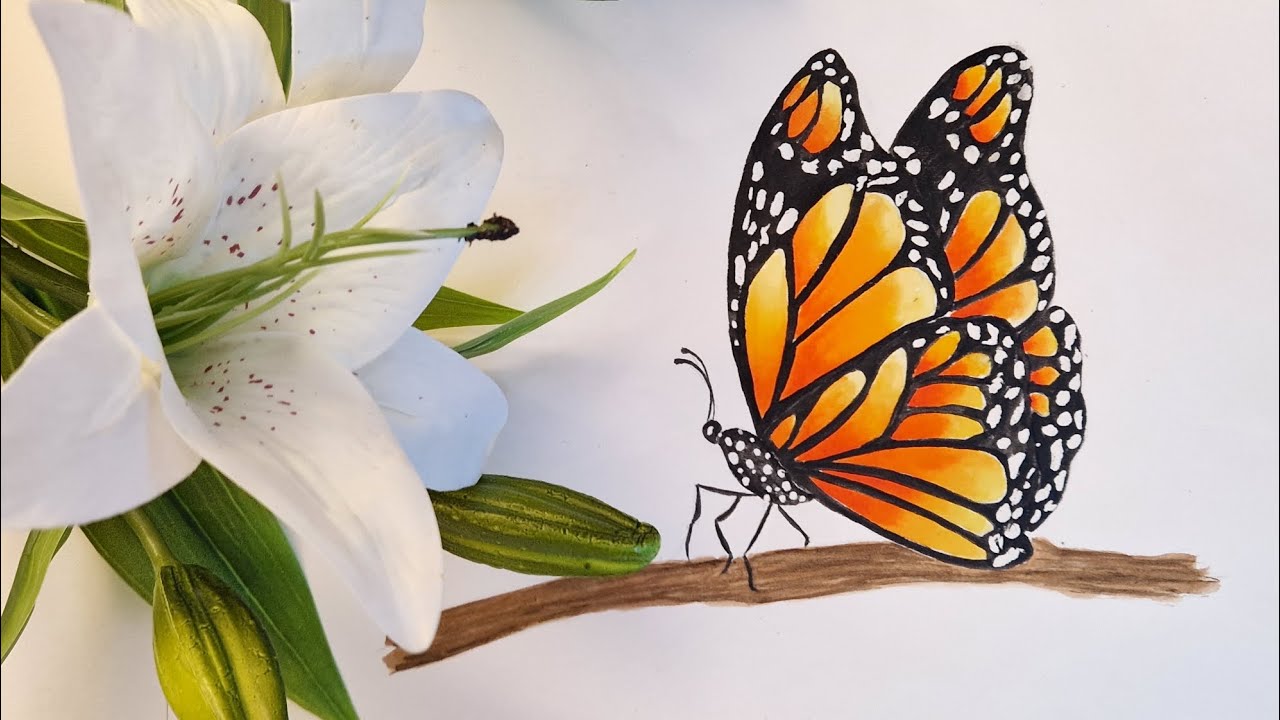 Monarch Butterfly painting demo. Quick and easy watercolour painting ...
