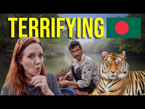 Scary Tiger Encounter In Sundarbans - Exploring Remote Bangladesh | Carrie Patsalis