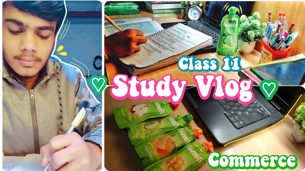 Study vlog of Commerce Student Class 11 | Class 11 Study Vlog of ...