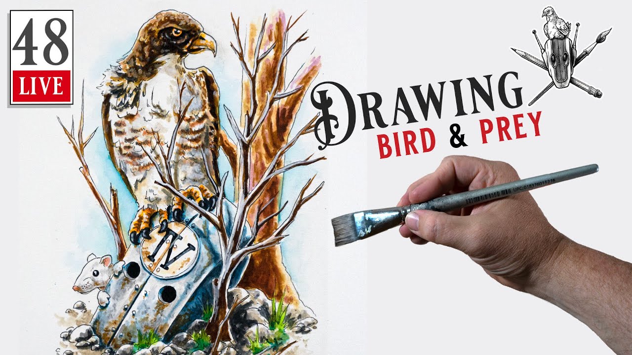 Drawing PREDATOR and PREY in Acrylic Inks #48 - YouTube