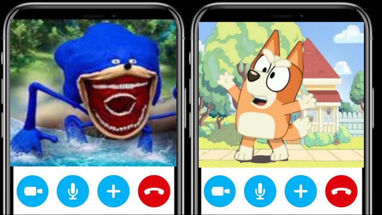 Sonic’s leg was broken in the fight — did Bluey take revenge? #like ...