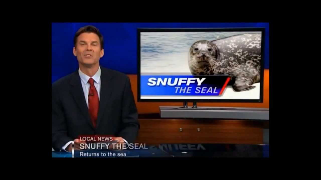 Shark Week Commercial Review - YouTube