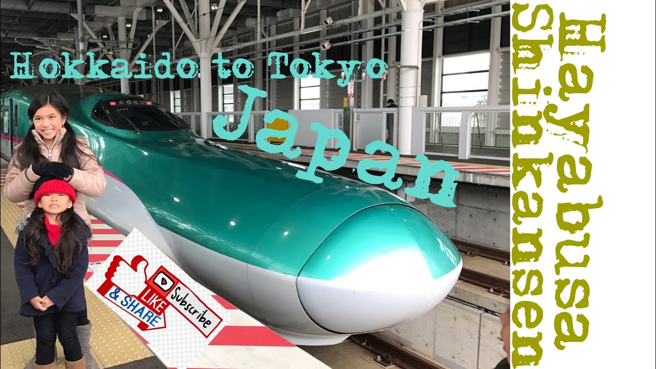 Japan Shinkansen Hayabusa transfer from regular train - YouTube