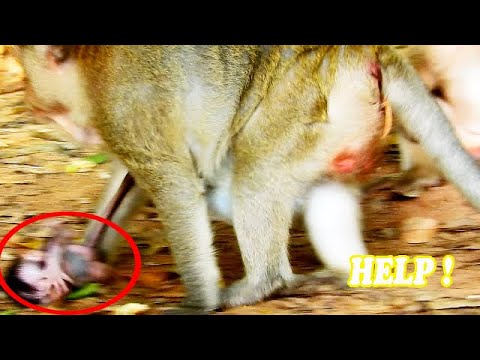 Why drop me here ? Pick me up please ! - YouTube