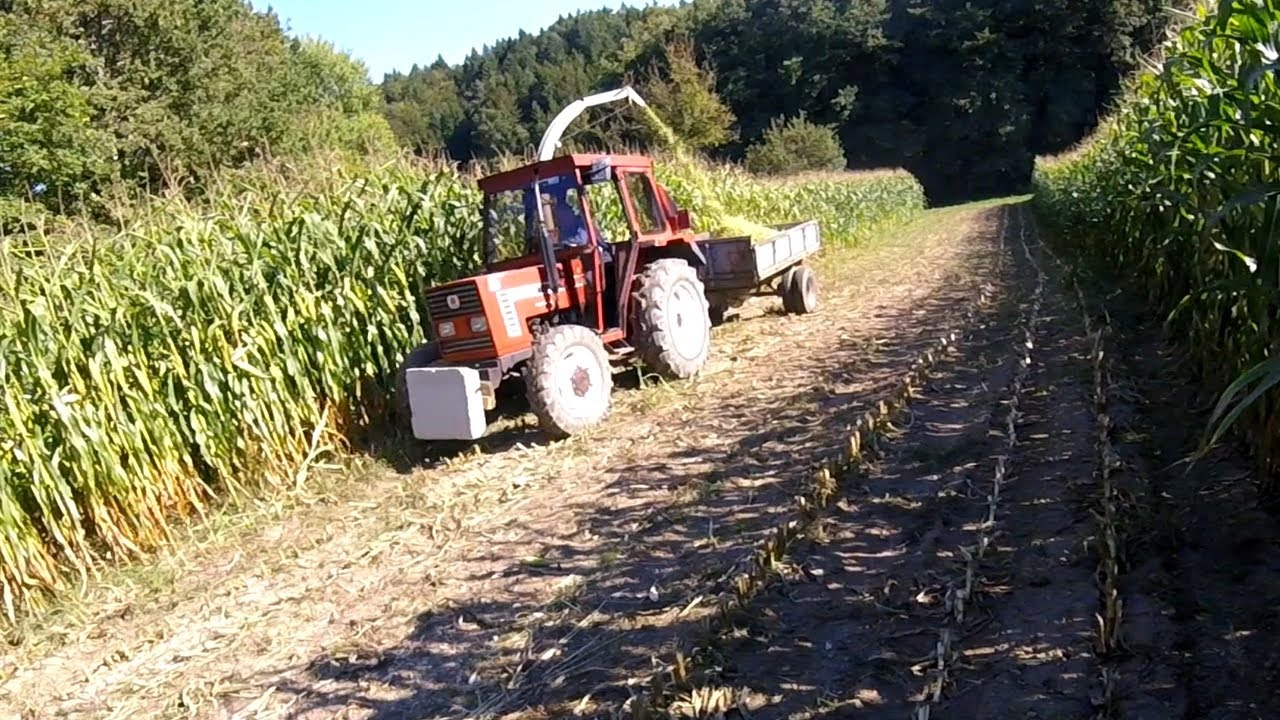 A Day on the Farm #18 - YouTube