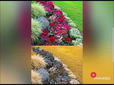 WHAT COLOR BLINDNESS LOOKS LIKE - Protanopia Simulation - YouTube