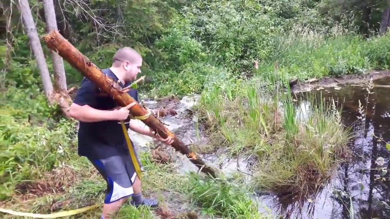 Beaver Dam Carnage/Fail - YouTube