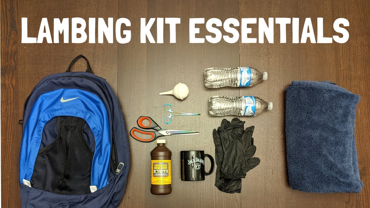 The Essentials to Building a Lambing Kit So You're Ready for Anything ...