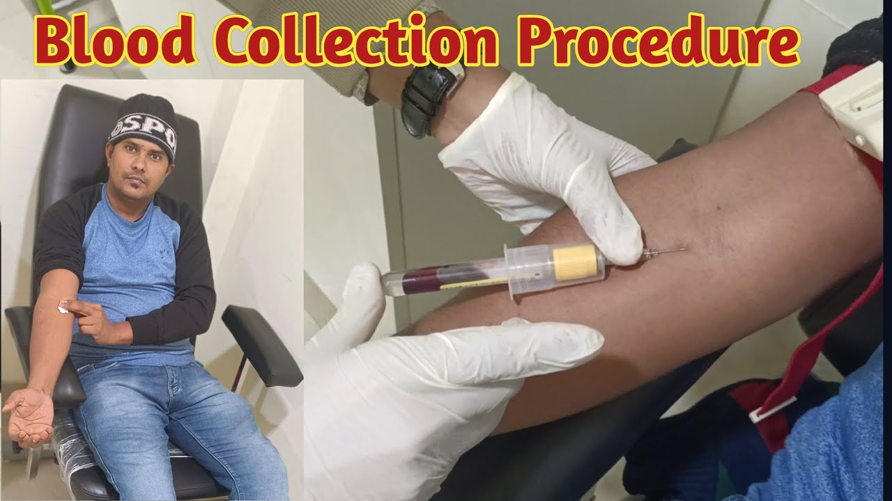 Vacutainer blood collection procedure | Blood collection procedure ...