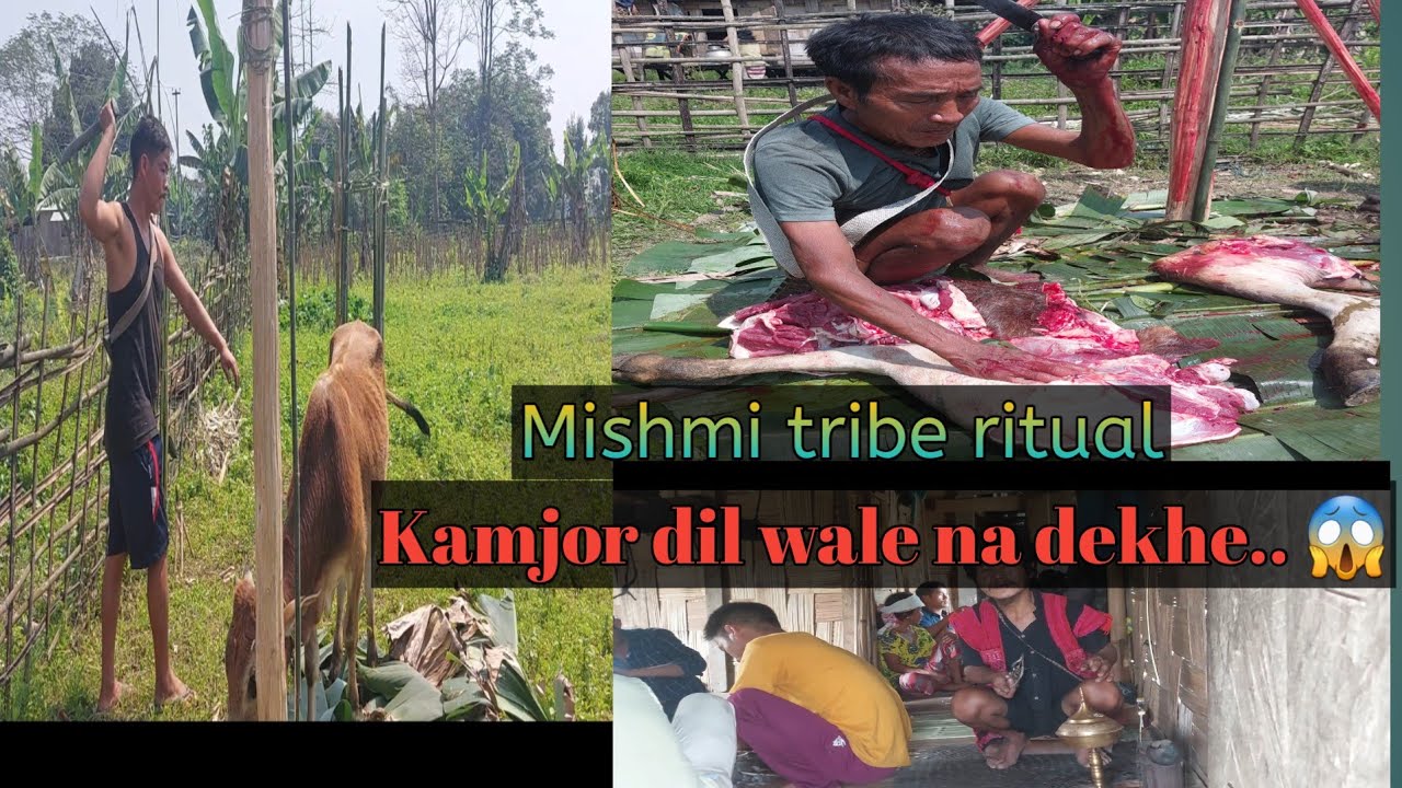 Mishmi ritual puja and animal sacrifice to pleased the GOD#monuofficial ...