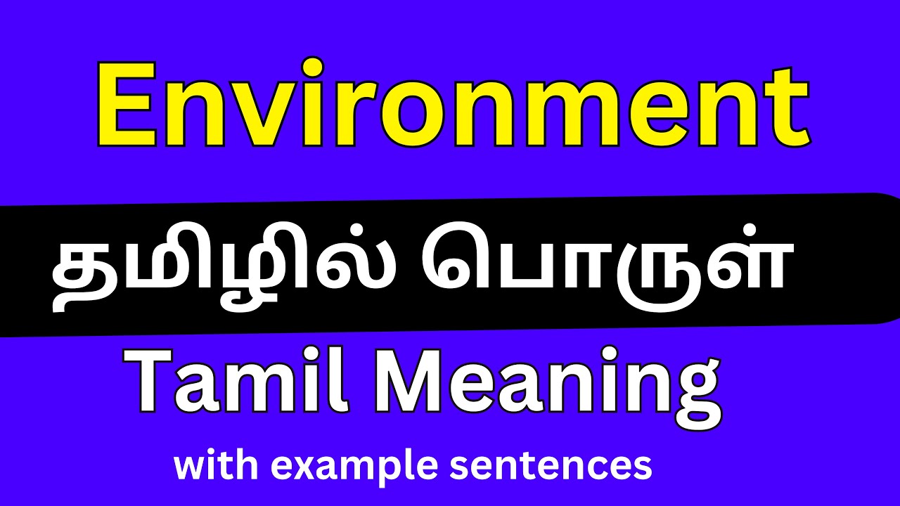Environment Meaning In Tamil Environment YouTube environment-meaning-in-tamil-environment-youtube