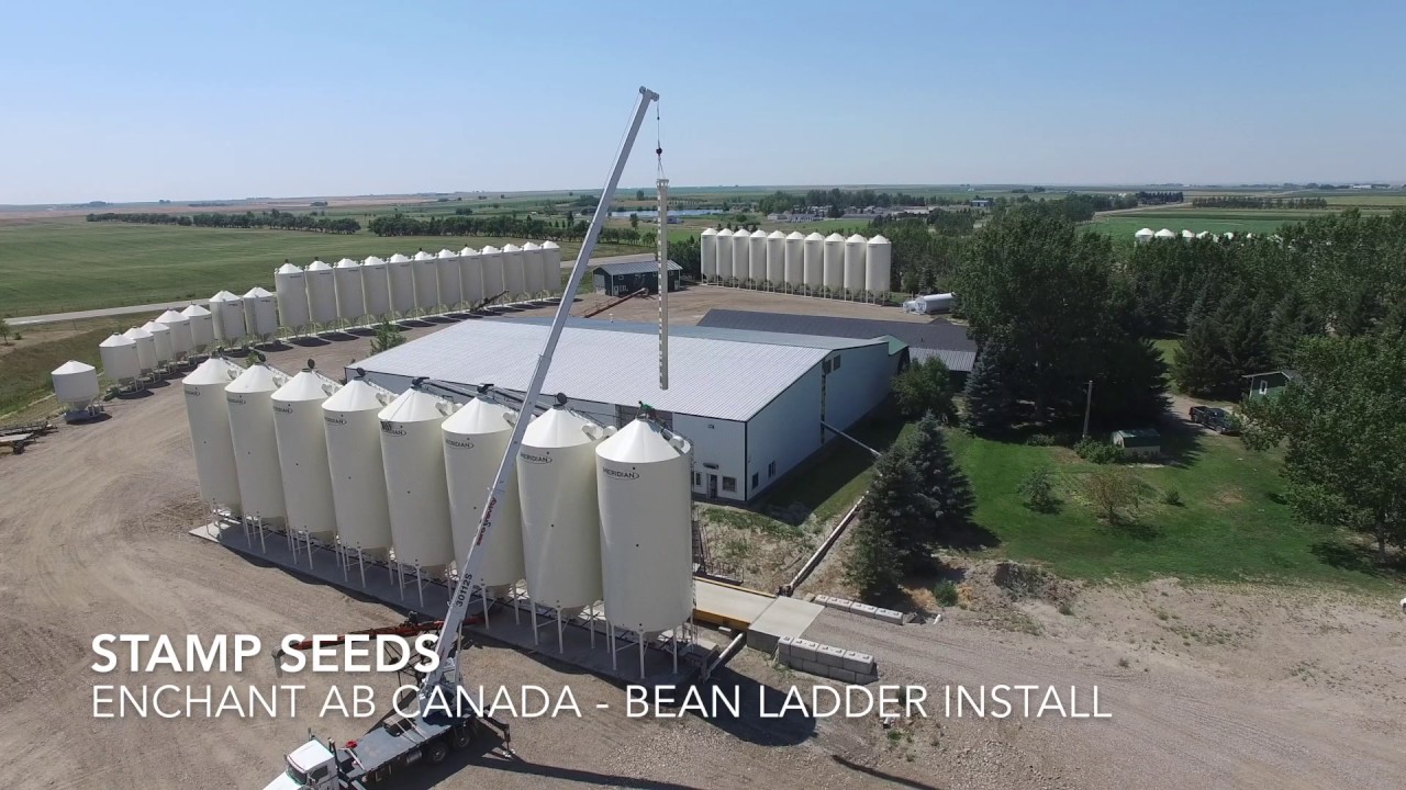 Stamp Seeds Bean Ladder Install - YouTube