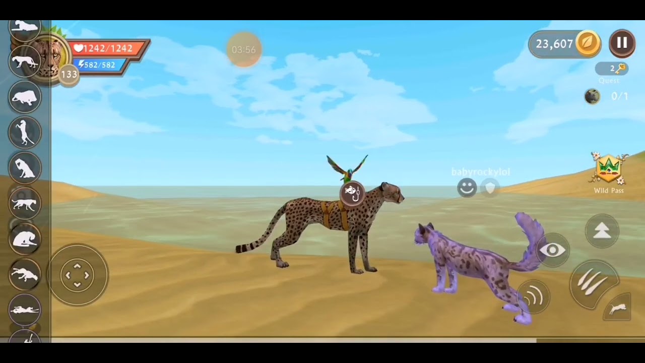 ugly cheetah! *happy ending - YouTube