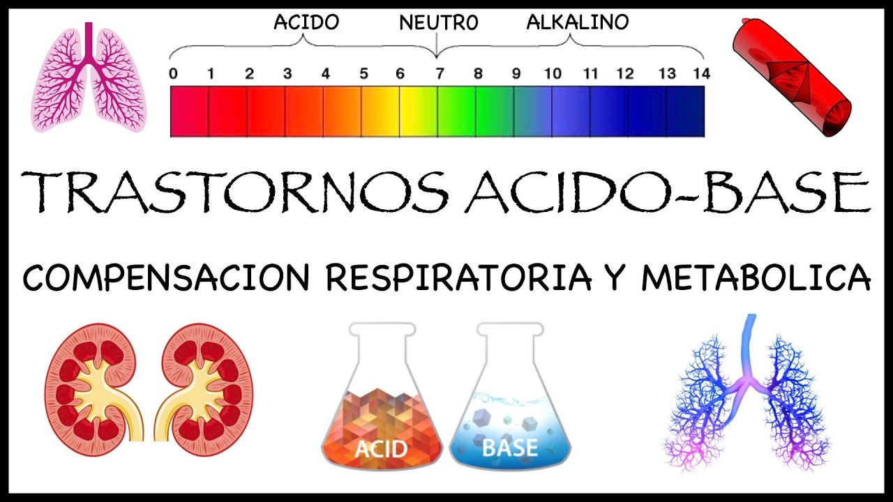 Trastornos Acido Base: Compensación Metabólica y Respiratoria - YouTube
