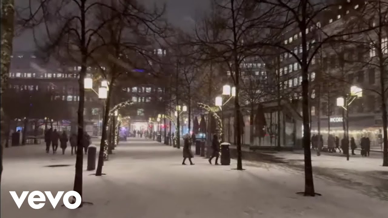 Tin Drum - Merry Christmas Älskling ft. Steve Carrigan - YouTube