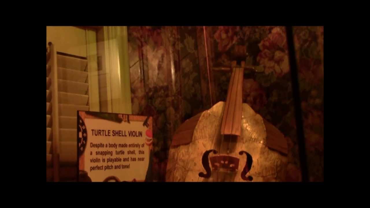 Very Unique String Instruments - YouTube