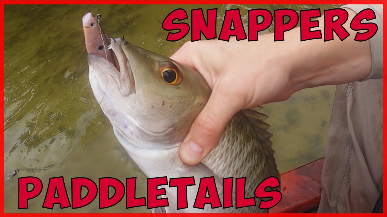 Snappers on Paddletails & How to tie your own wire leader - YouTube