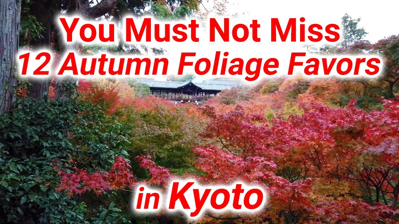 【Kyoto Autumn Foliage】Here are 12 autumn leaves in Kyoto that you must ...