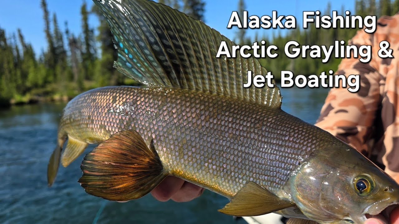 Alaska Fishing & Jet boating | Delta Clearwater | Trophy Arctic ...