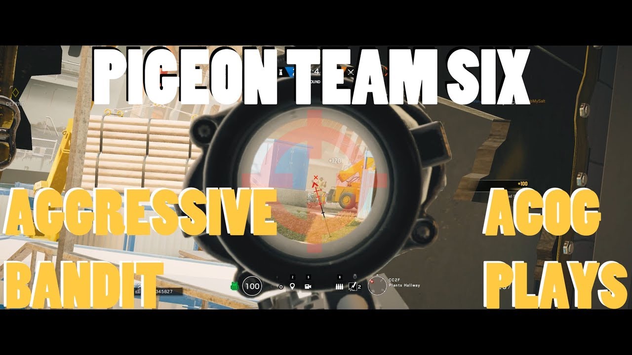 Pigeon Team Six - Aggressive Bandit Acog Plays - YouTube