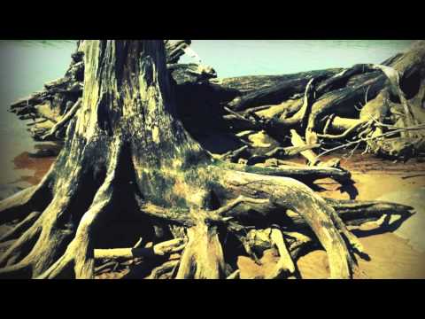 Root Grounding Meditation - YouTube