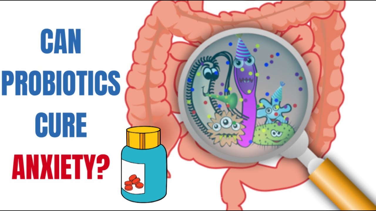 Gut bacteria and Anxiety - YouTube