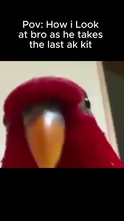 #rust #rustconsole #rustgameplay #rustoficial #gaming #rustgame #rustpvp #funny #rustraid #memes ...