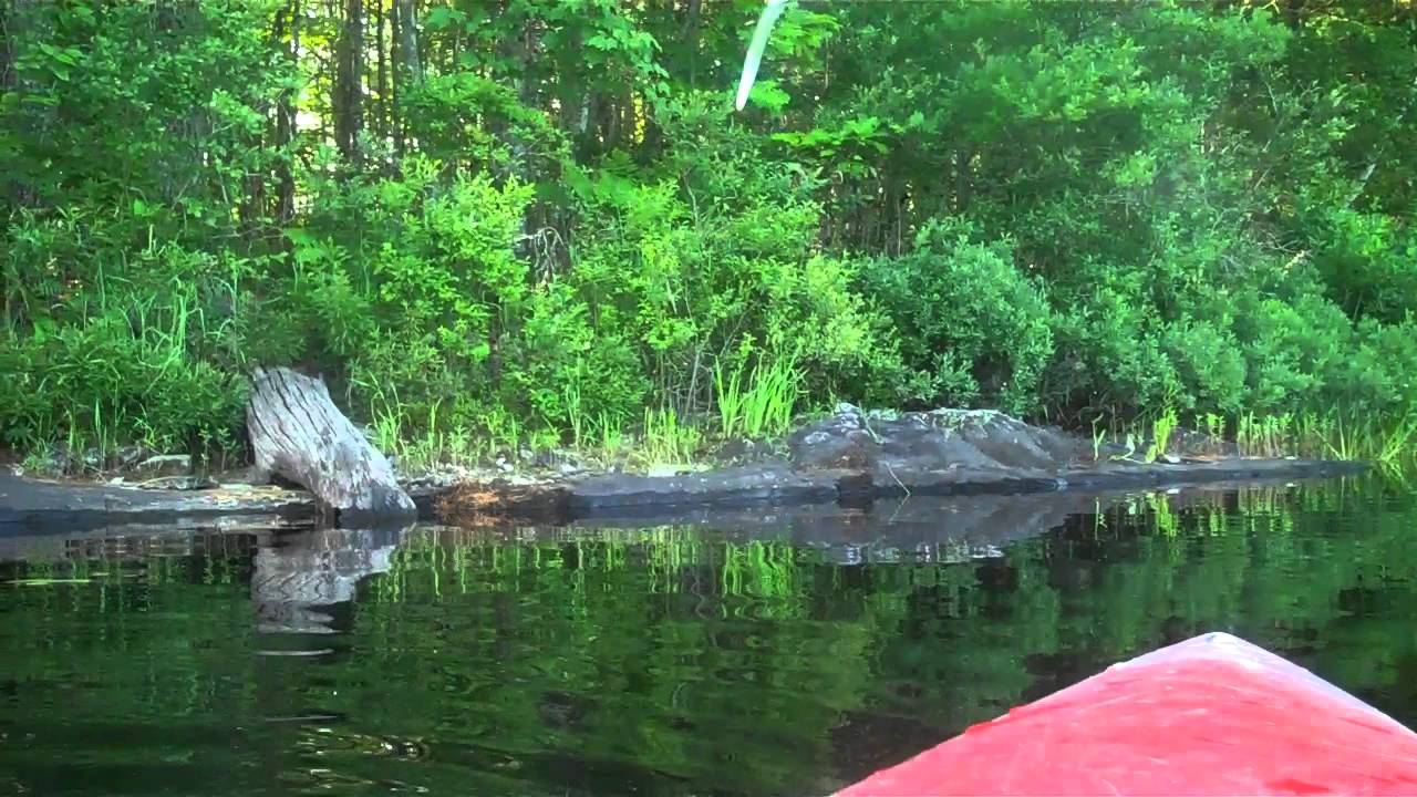 10 Serene Lakes In Boston That’ll Make You Fan Of Boston!