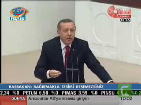 şenerşen erdoğan dublajı