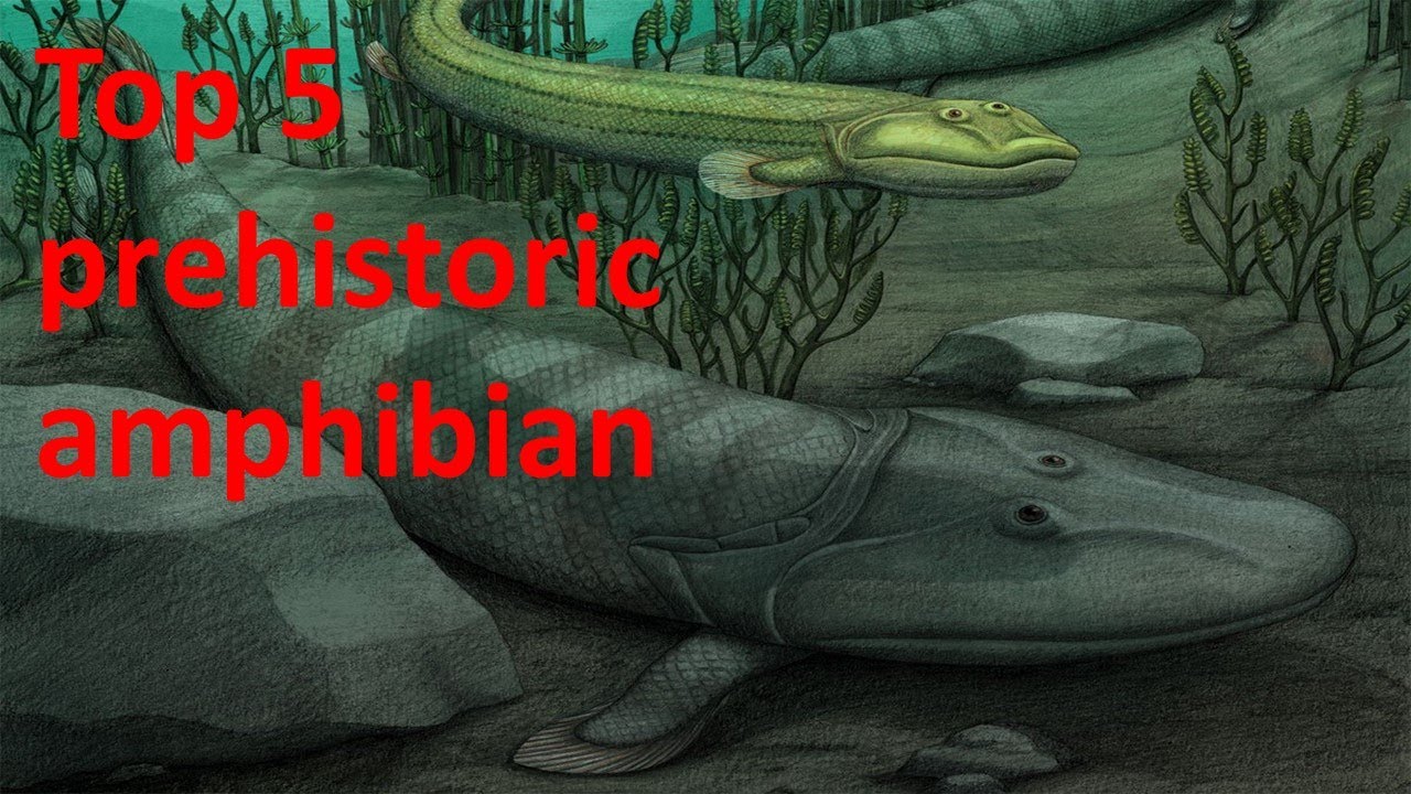 top 5 prehistoric amphibians - YouTube