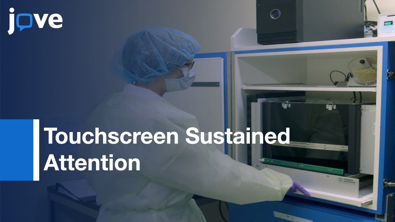 Touchscreen Sustained Attention Task | Protocol Preview - YouTube