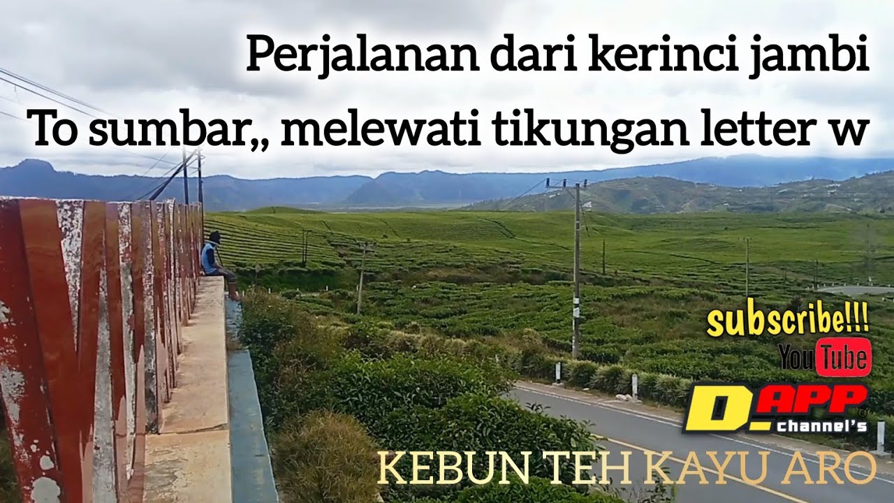 perjalanan jambi to sumbar kebun teh dan tikungan letter w bersama ...