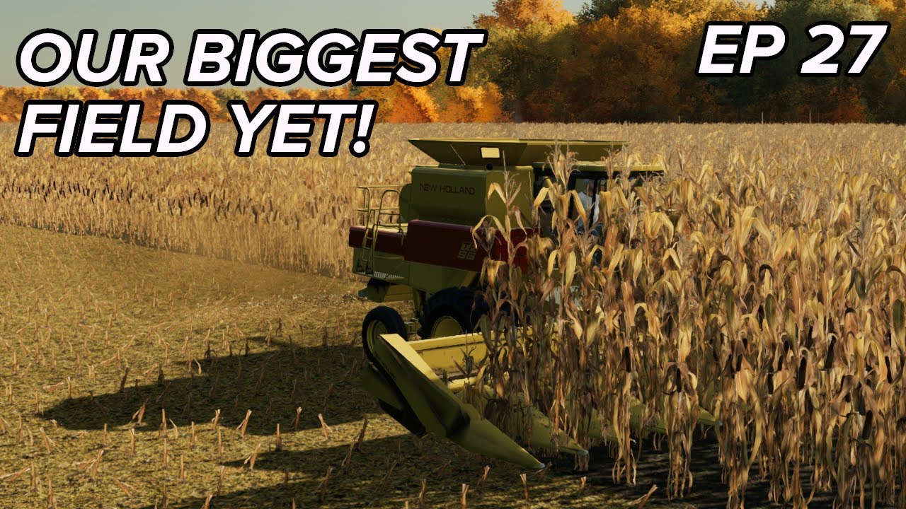 Harvesting the BIGGEST field on the farm! Farmville, NC -Episode 27 ...