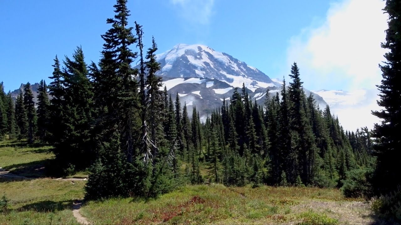 Mount Rainier Experience: Hike Mowich Lake to Carbon River with Audio ...