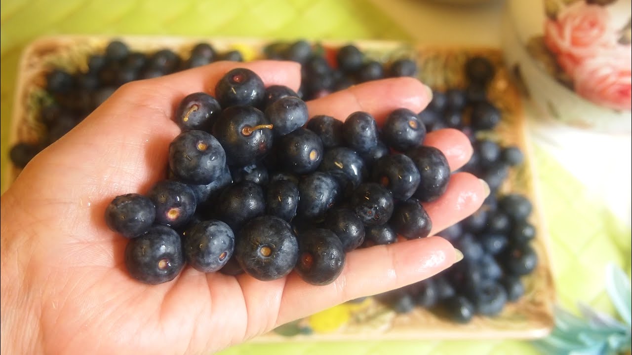 Ano ang Lasa ng Blueberries - YouTube