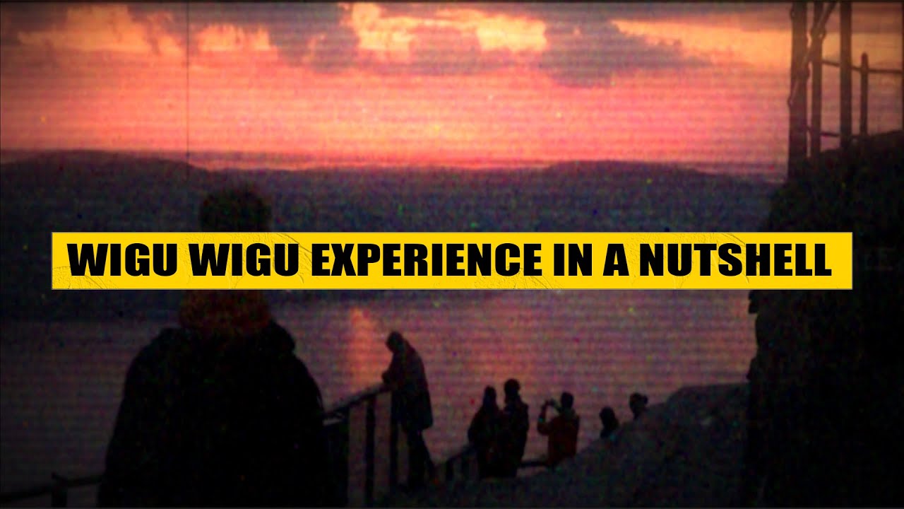 what it means to wigu wigu experience - YouTube