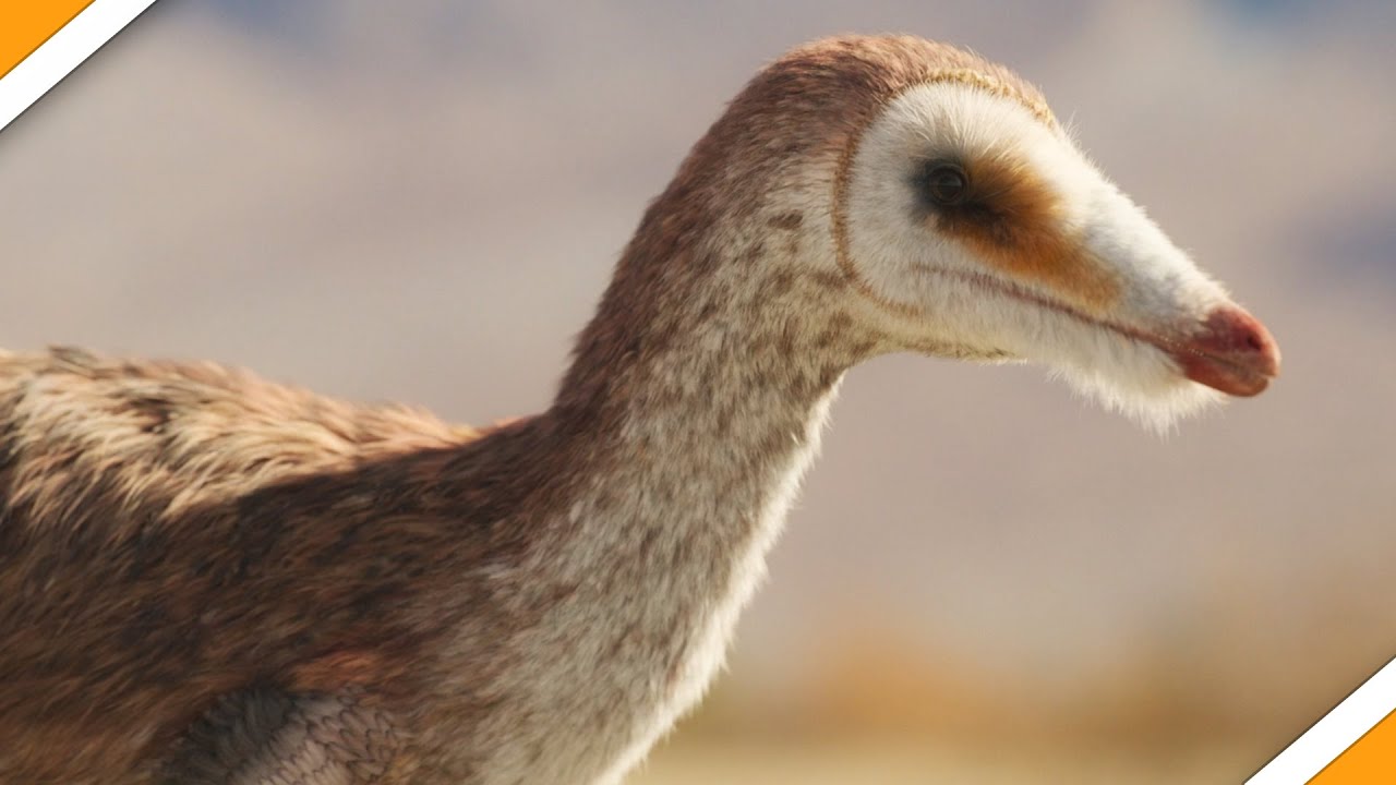 THE MOST ACCURATE Velociraptor | Prehistoric Planet - YouTube