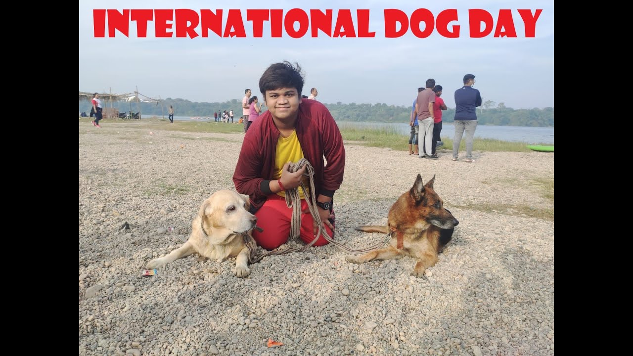 INTERNATIONAL DOG DAY 2022 - YouTube