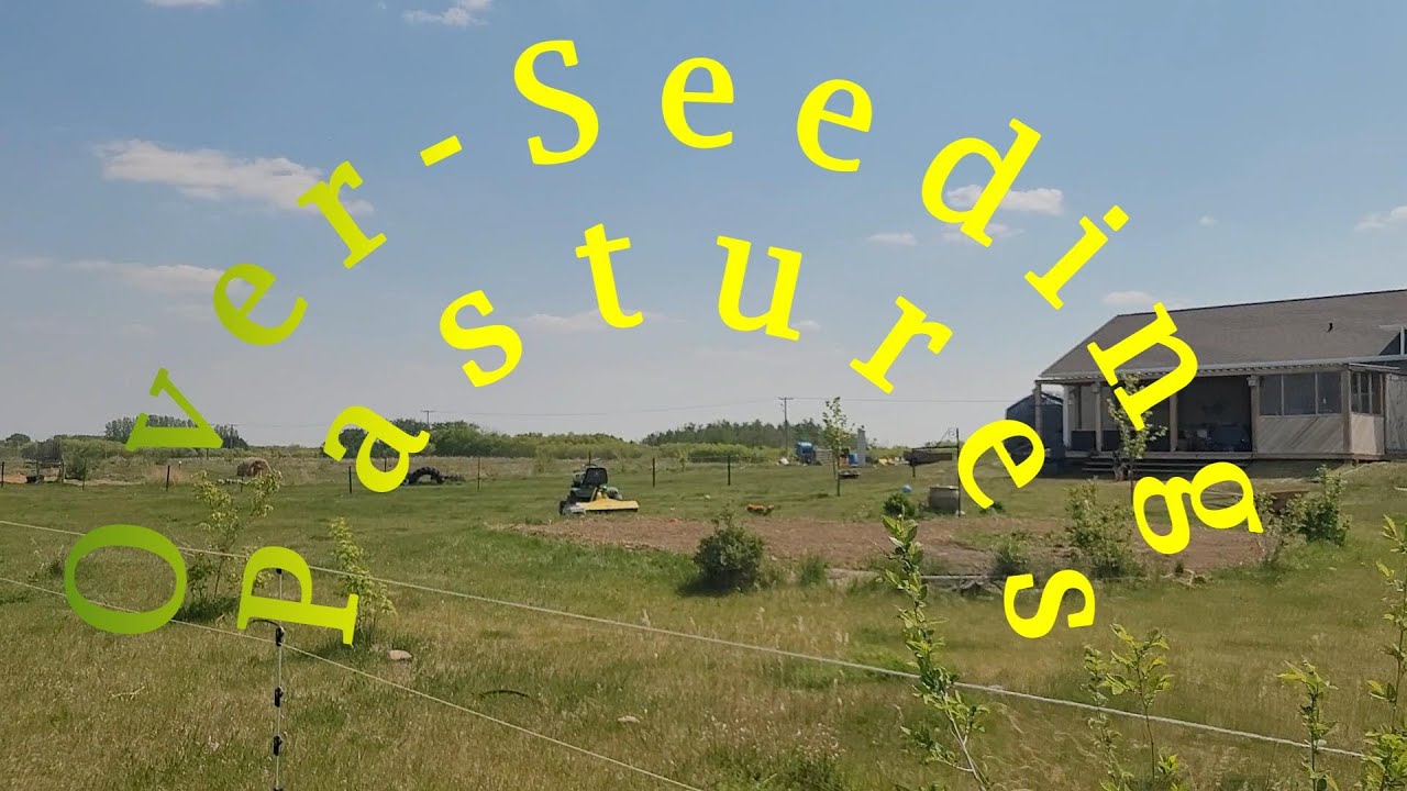Over-seeding pastures DIY - YouTube
