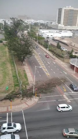 Today Extremely Windy Weather In Durban - YouTube