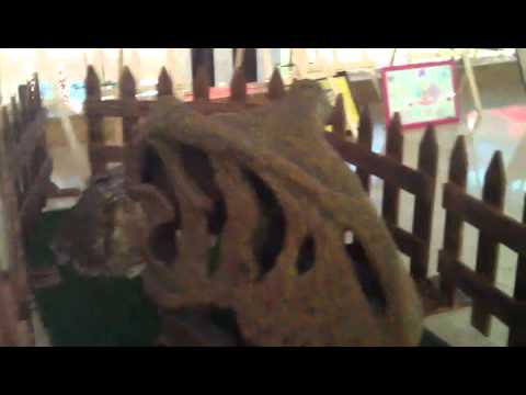 Tekirdağ (Tekira) Dinazorlar