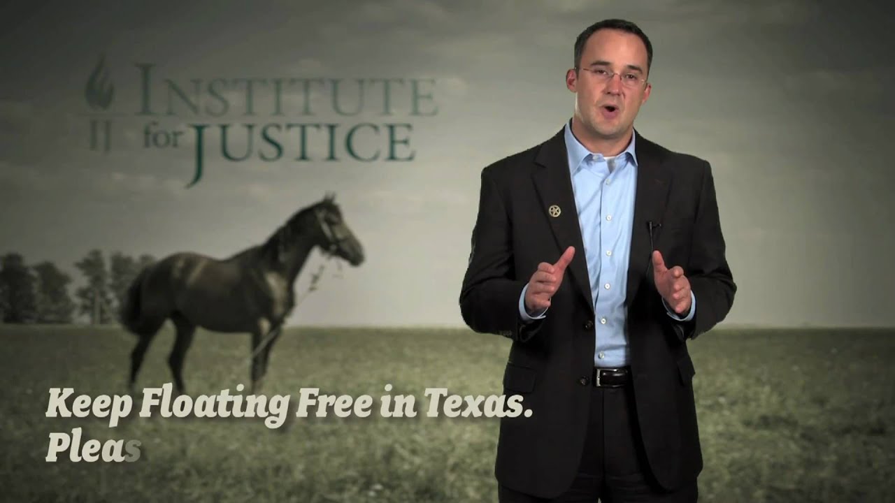 Clark Neily: H.B. 3637 Would Keep Horse Teeth Floating Legal in Texas ...